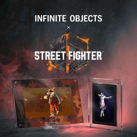 Street Fighter™ x Infinite Objects