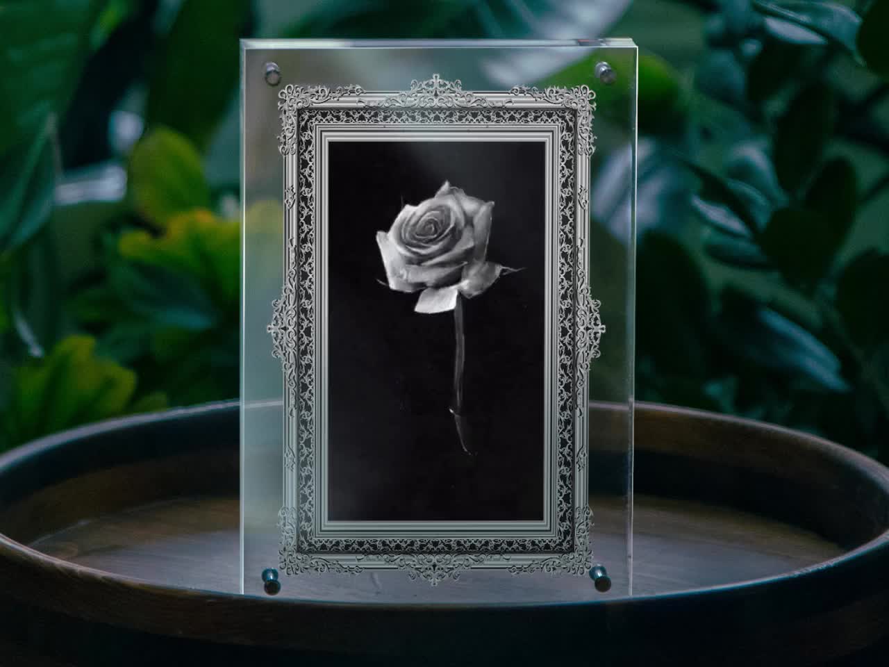 Death and Rebirth | Infinite Objects