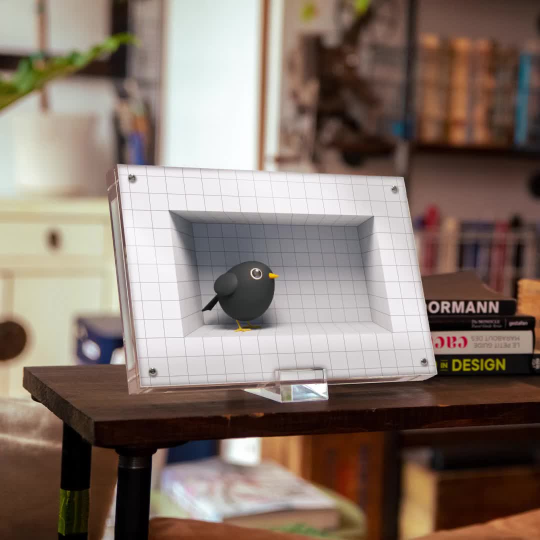 Caged Blackbird | Infinite Objects