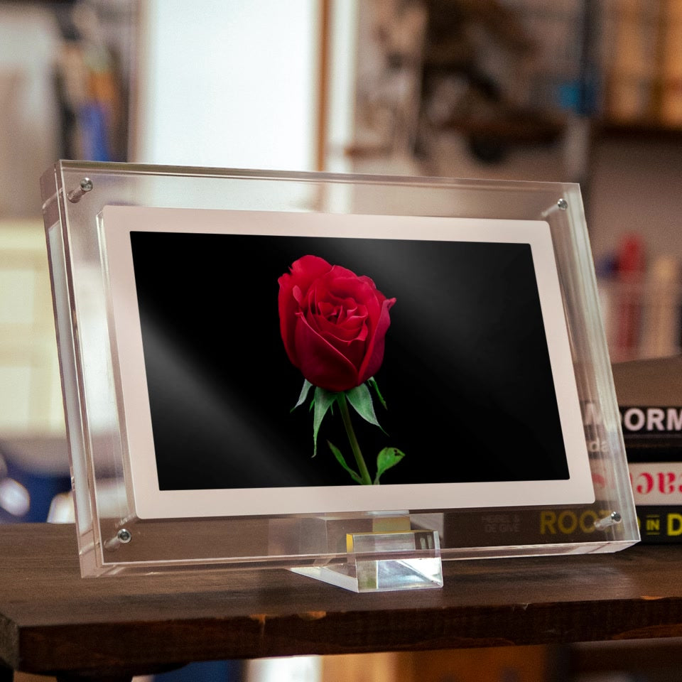 Red Rose | Infinite Objects