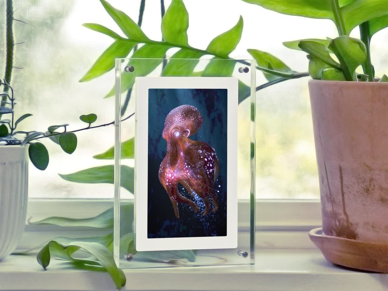 Travels Through The Deep | Infinite Objects