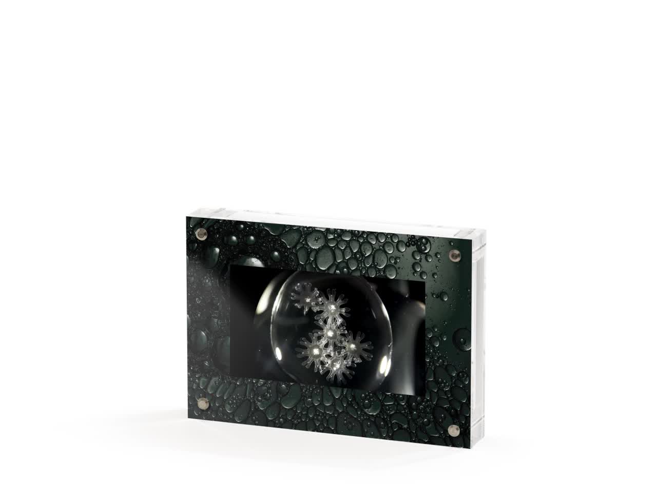 Ephyrae (larval jellyfish) | Infinite Objects