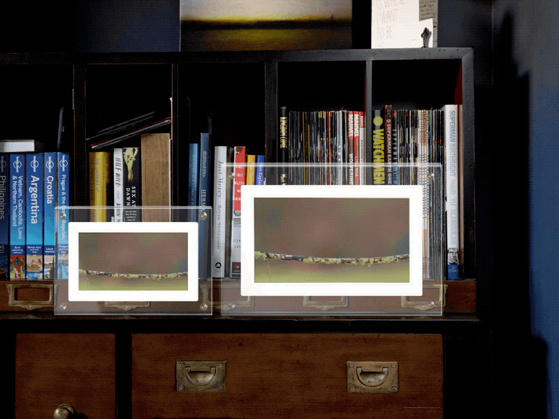 Put a Bird On It | Infinite Objects